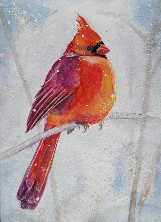 Quick tips for sketching backyard birds
