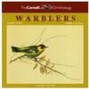 Identifying Warblers - Christine Elder