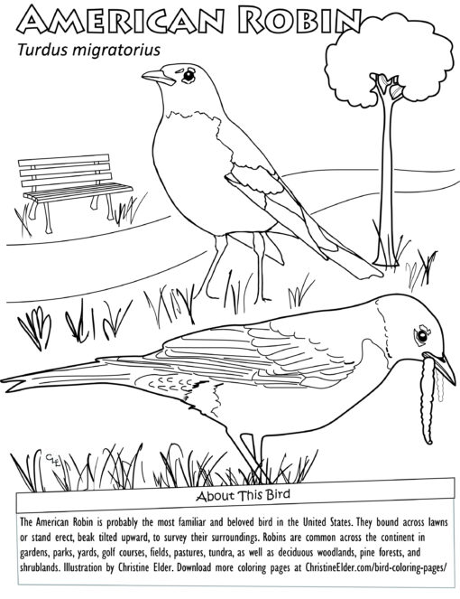 Bird Coloring Pages for Kids - Christine Elder