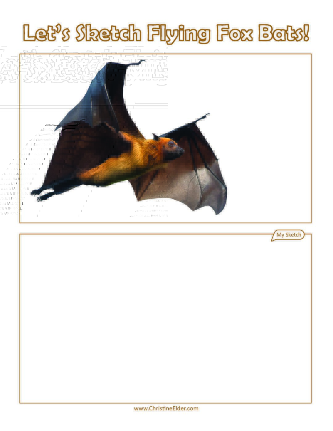 Let's Sketch a Flying Fox! - Christine Elder