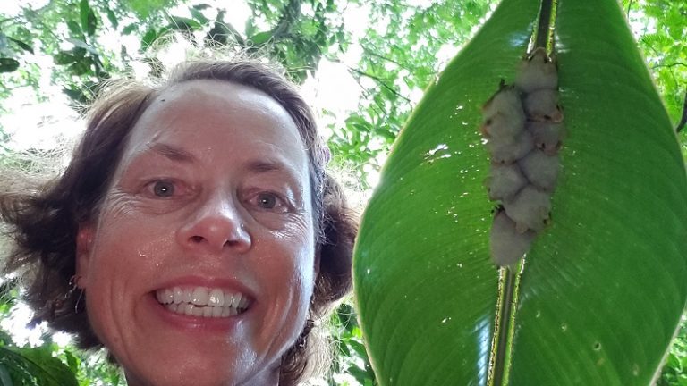 Batty About Bats! - Christine Elder