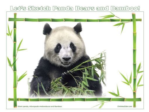 panda bamboo meme - Christine Elder