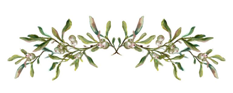 Mistletoe Musings - Christine Elder