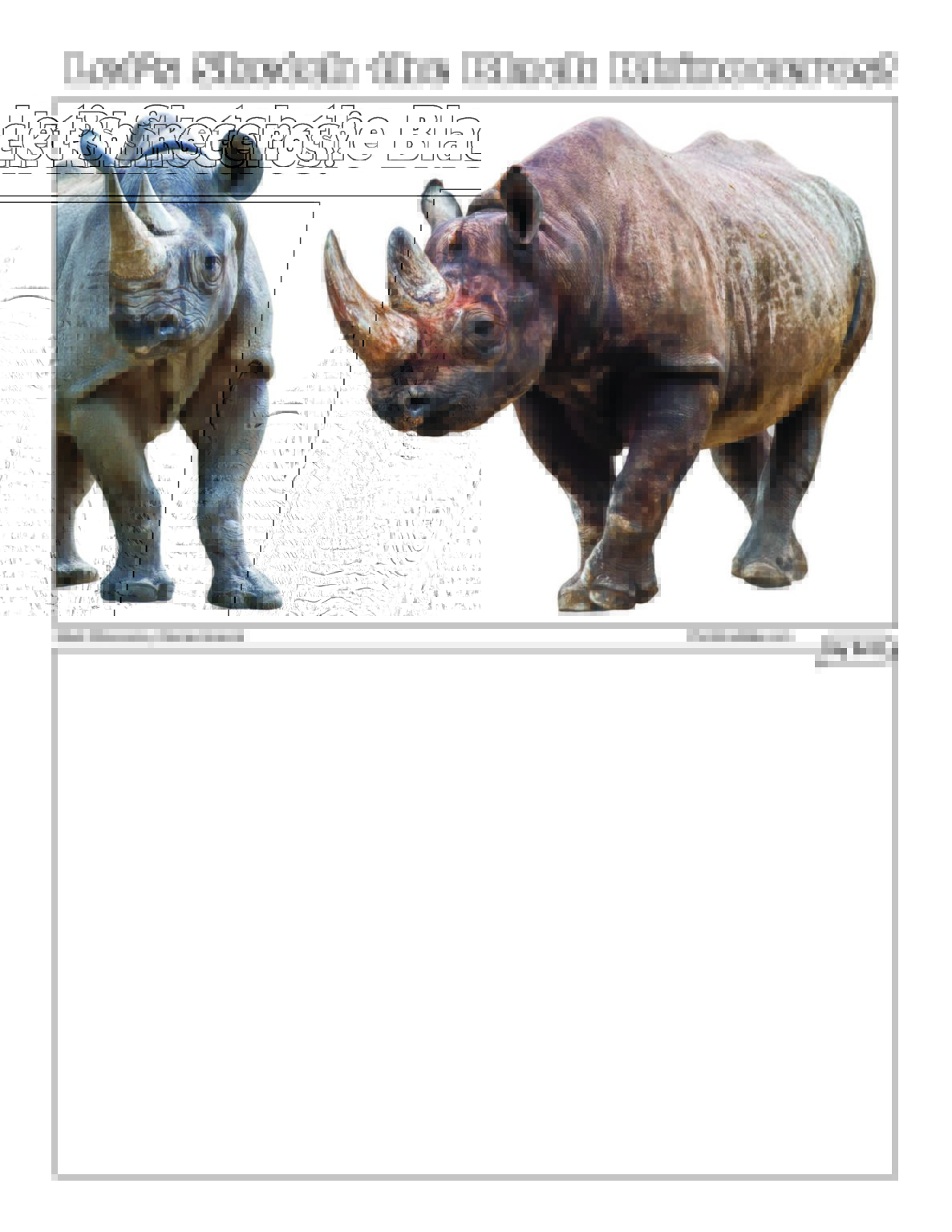Discover and Sketch African Rhinos - Christine Elder