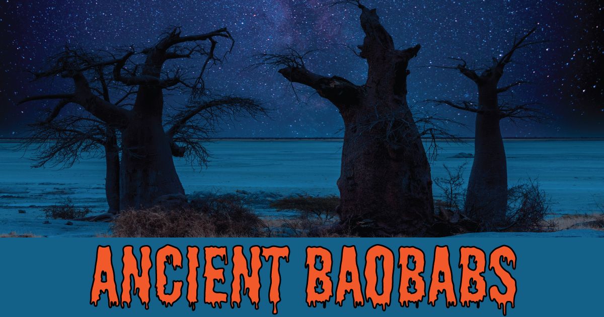 Spooky Nature Facts - Christine Elder