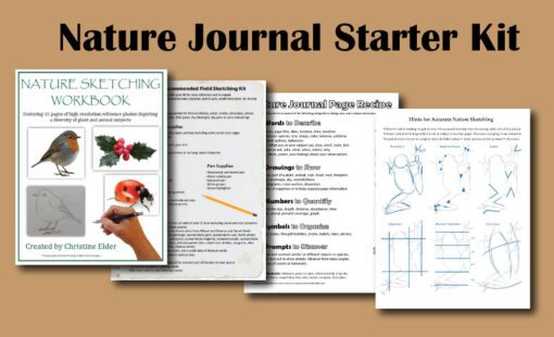 Nature Journaling Starter Kit - Christine Elder